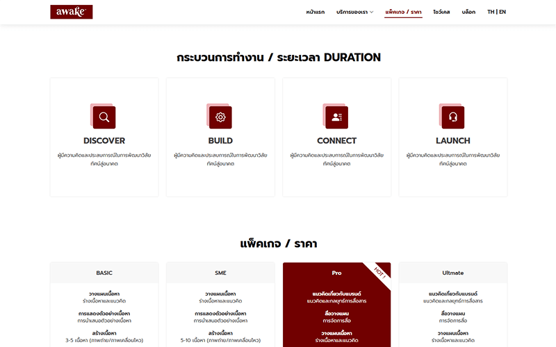 Website Awake Bkk
